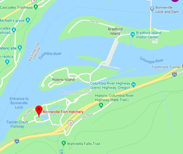 Bonneville Lock and Dam – Travel With Jil and Mike