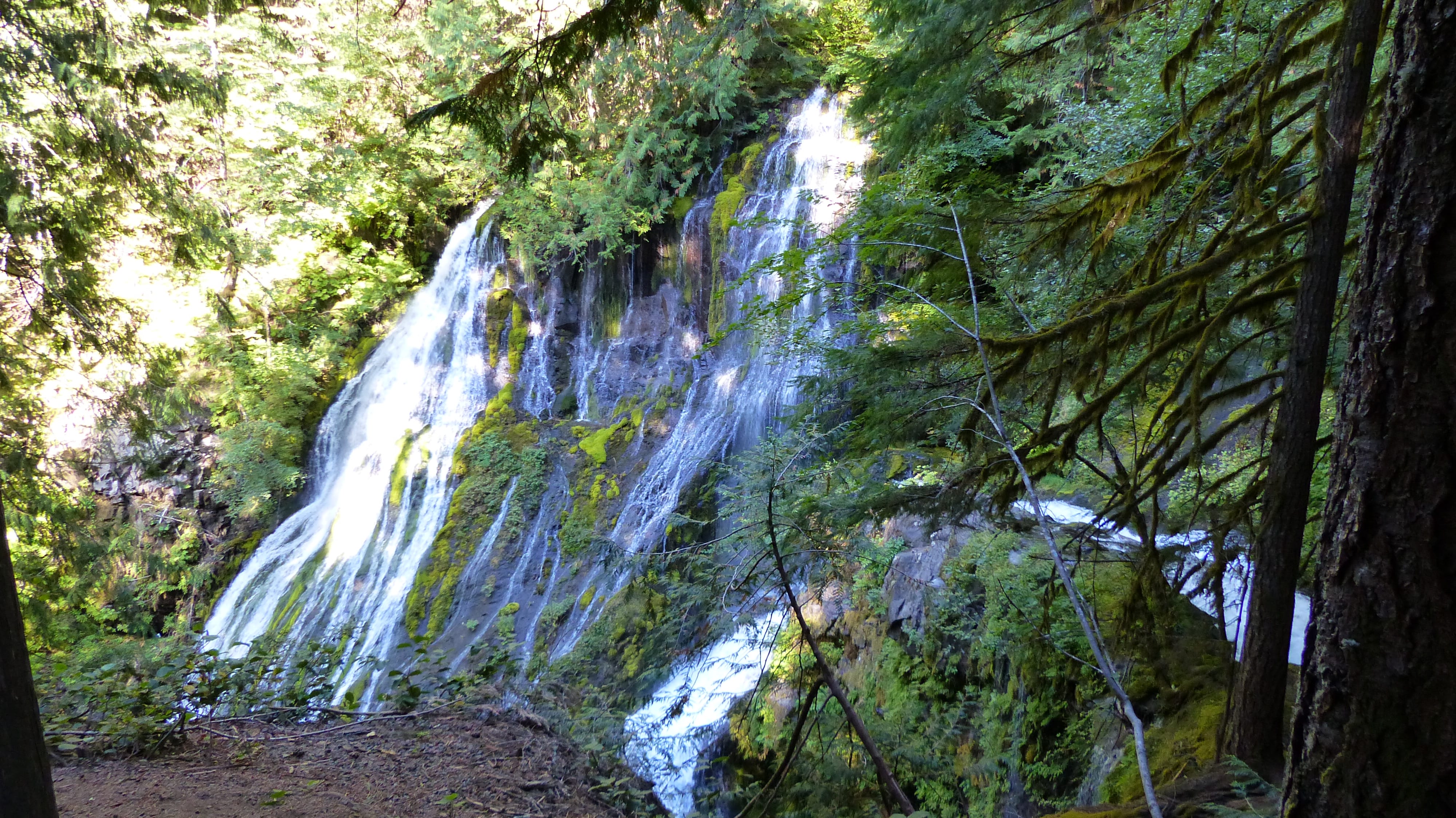 Still Here! – Travel With Jil and Mike